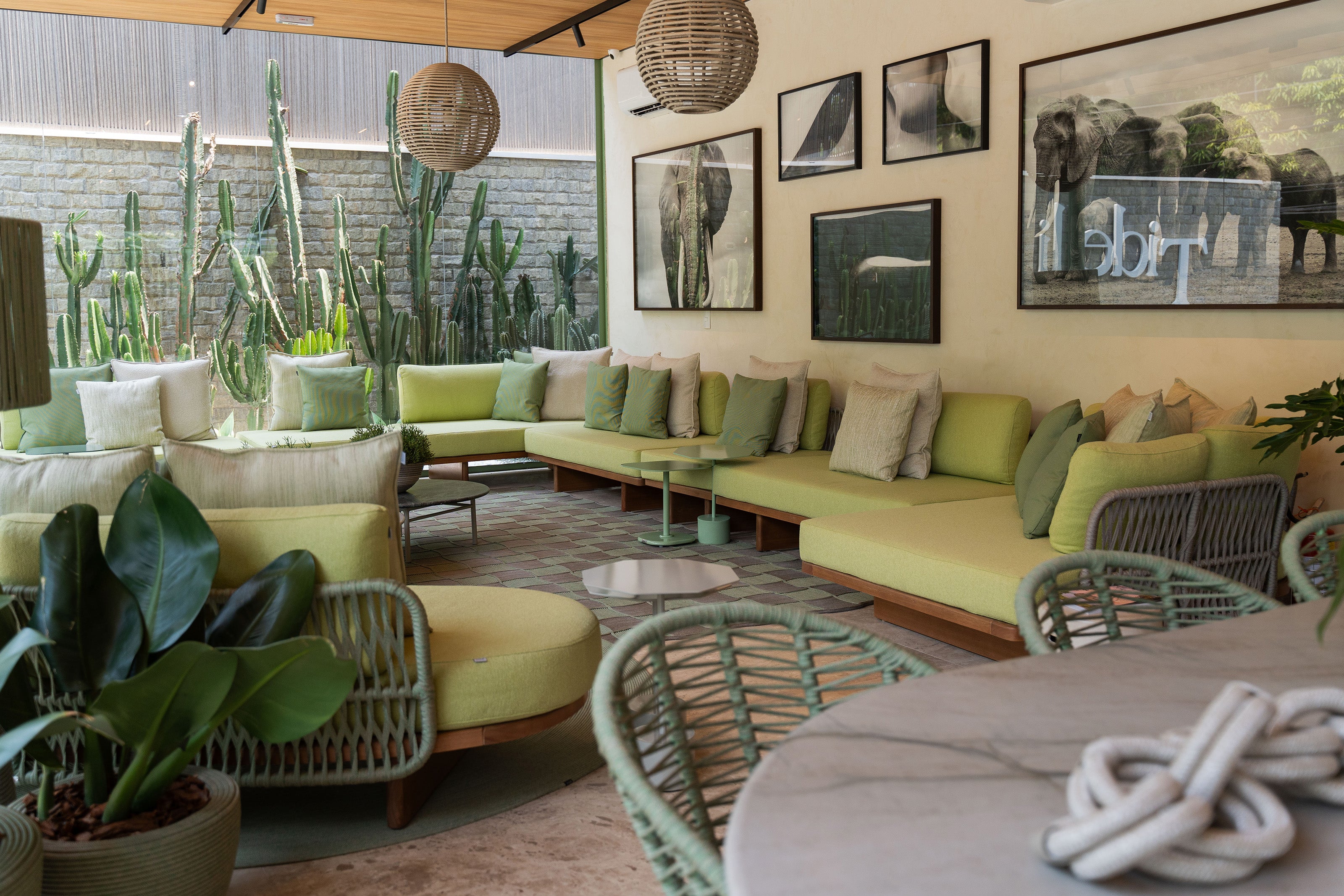 Tidelli: 35 Years of Design, Culture, and Innovation Celebrated in Sty