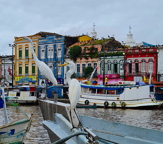 Immerse yourself in the beauty of Belém: Outdoor Experience by Tidelli